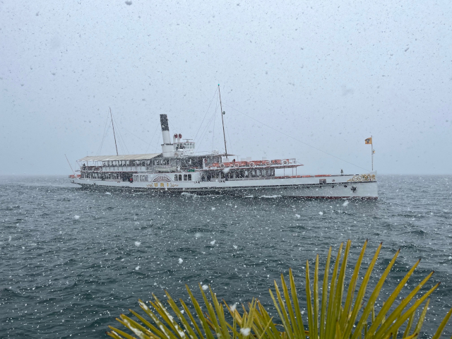 Swiss Paddlesteamer Timetables